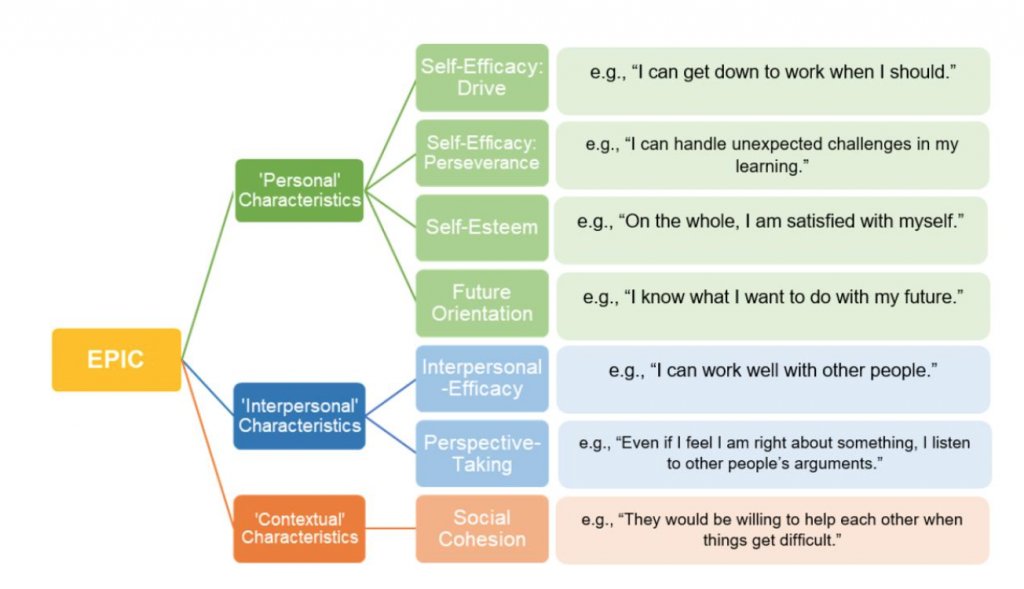 Evaluating the Personal, Interpersonal and Contextual dimensions of ...